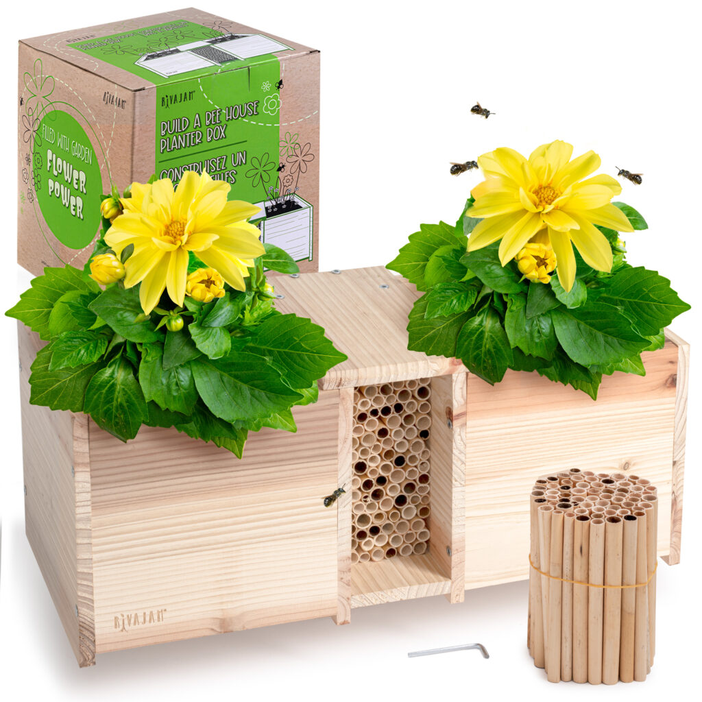 Rivajam Build a Bee House Planter Box Plant Kit for Kids - Rivajam