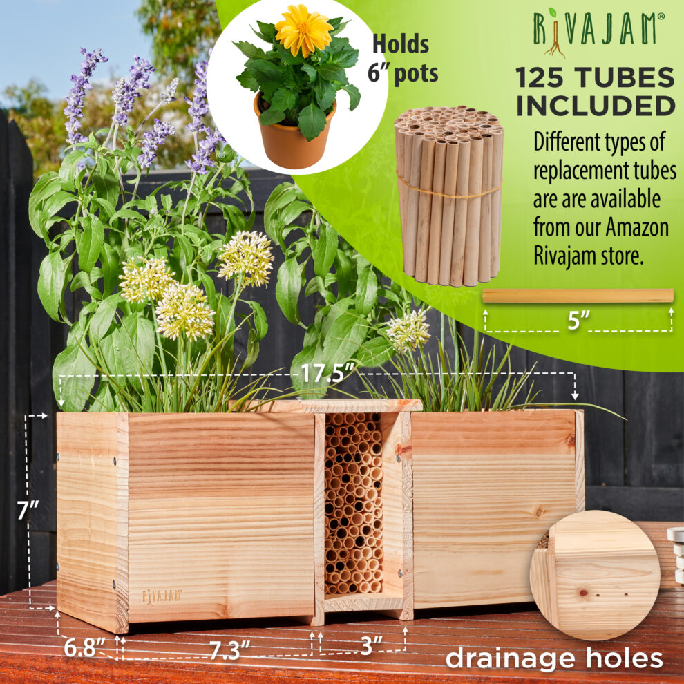 Rivajam Build a Bee House Planter Box Plant Kit for Kids - Rivajam