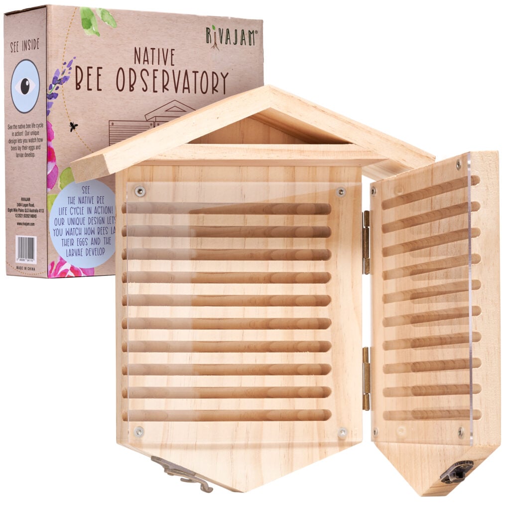 Rivajam Native Bee Habitat Observatory for Kids - Rivajam