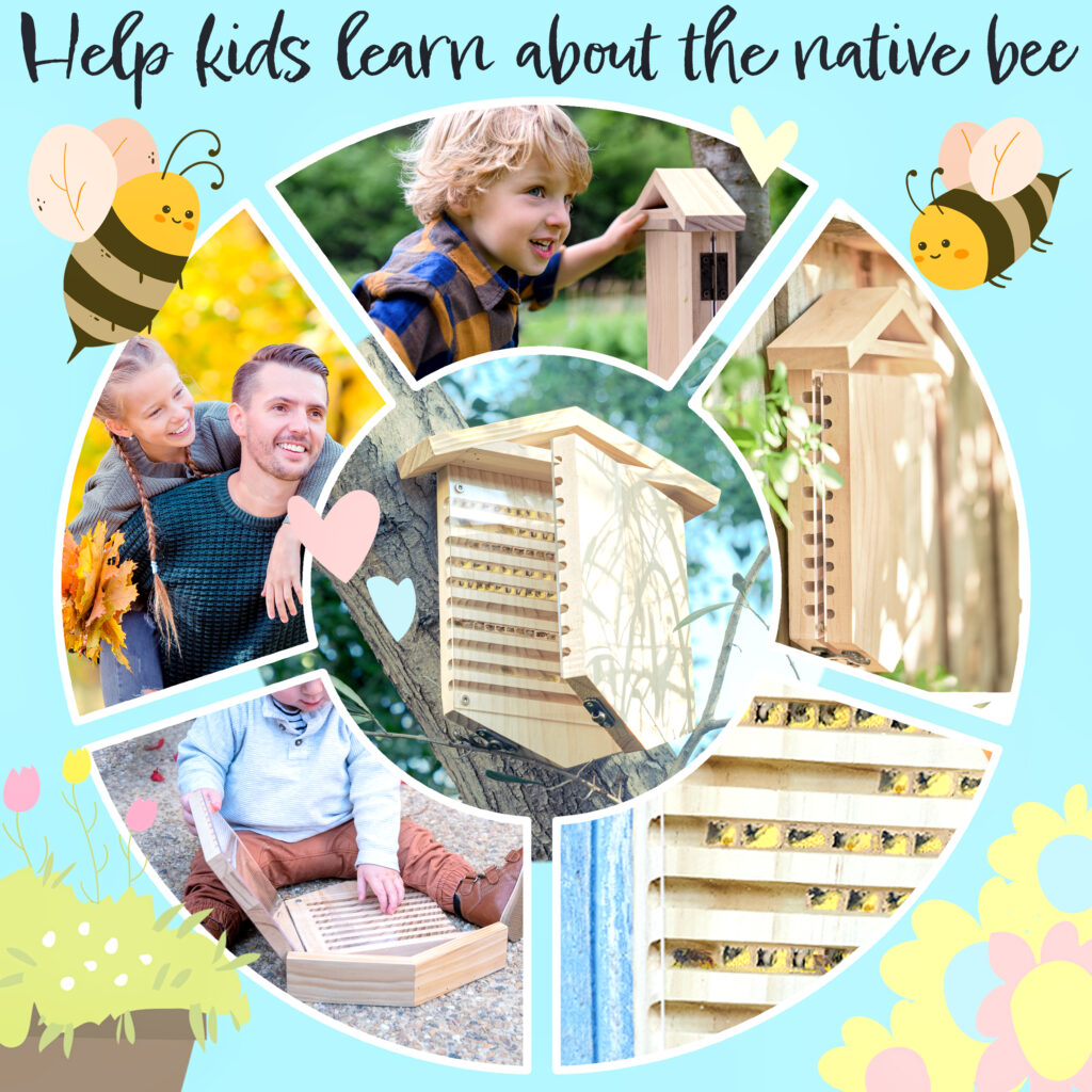 Rivajam Native Bee Habitat Observatory for Kids - Rivajam
