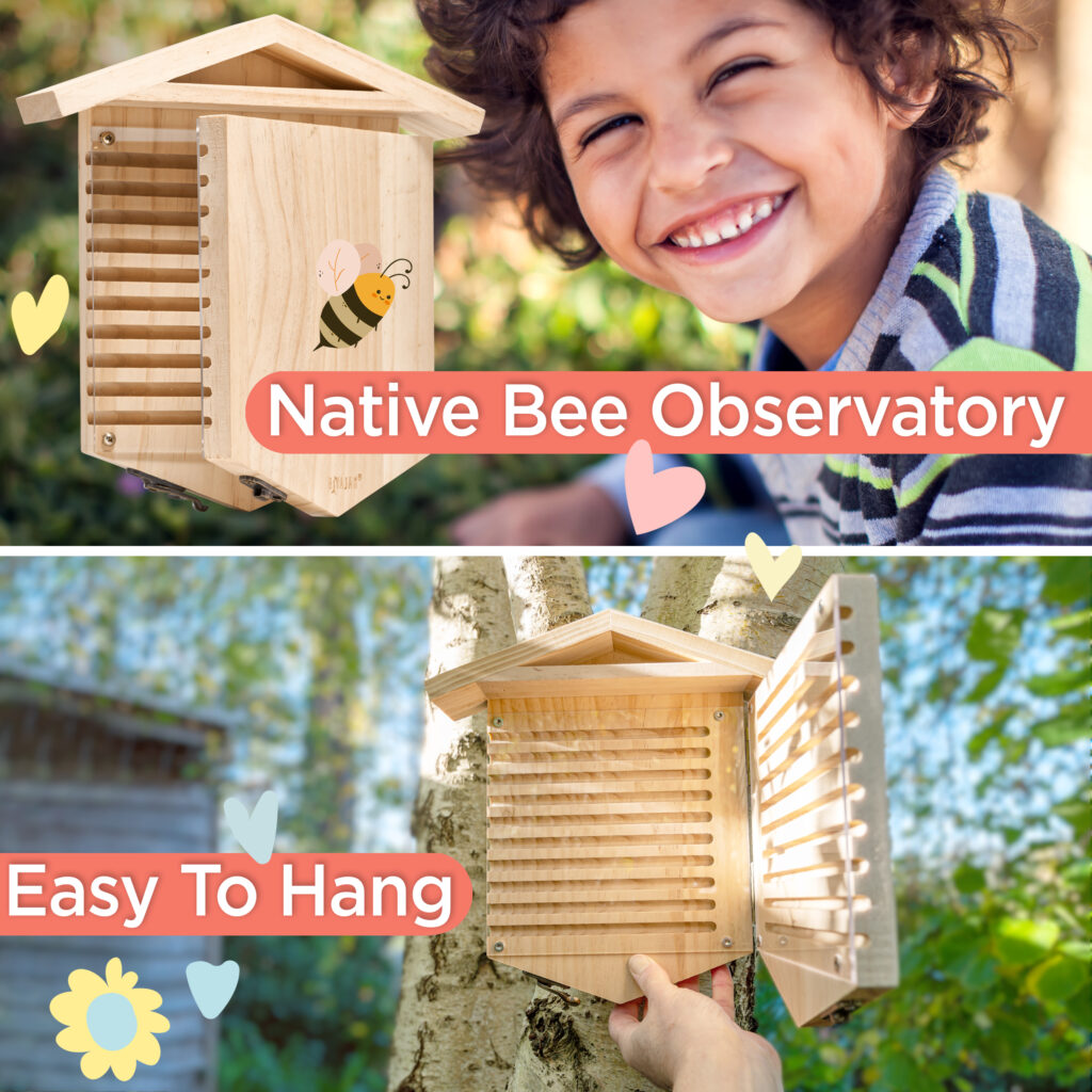 Rivajam Native Bee Habitat Observatory for Kids - Rivajam