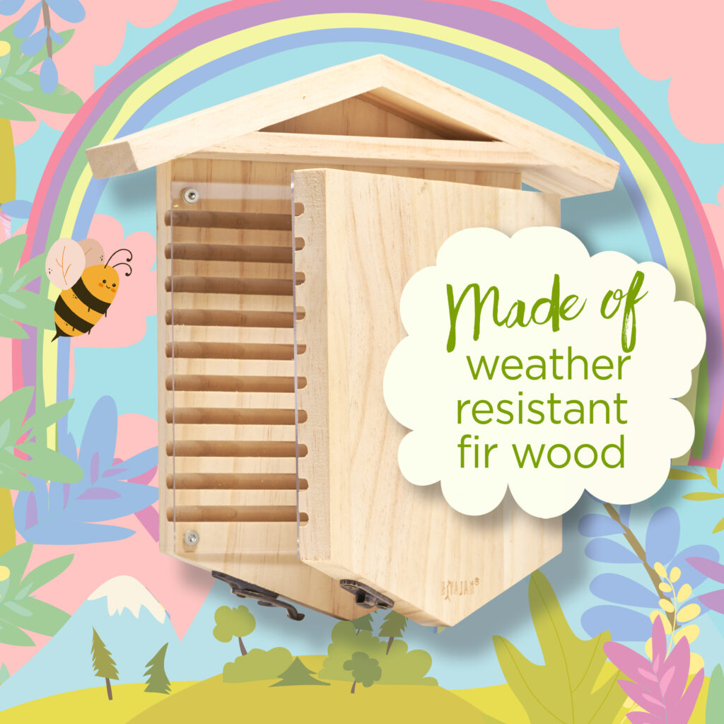 Rivajam Native Bee Habitat Observatory for Kids - Rivajam